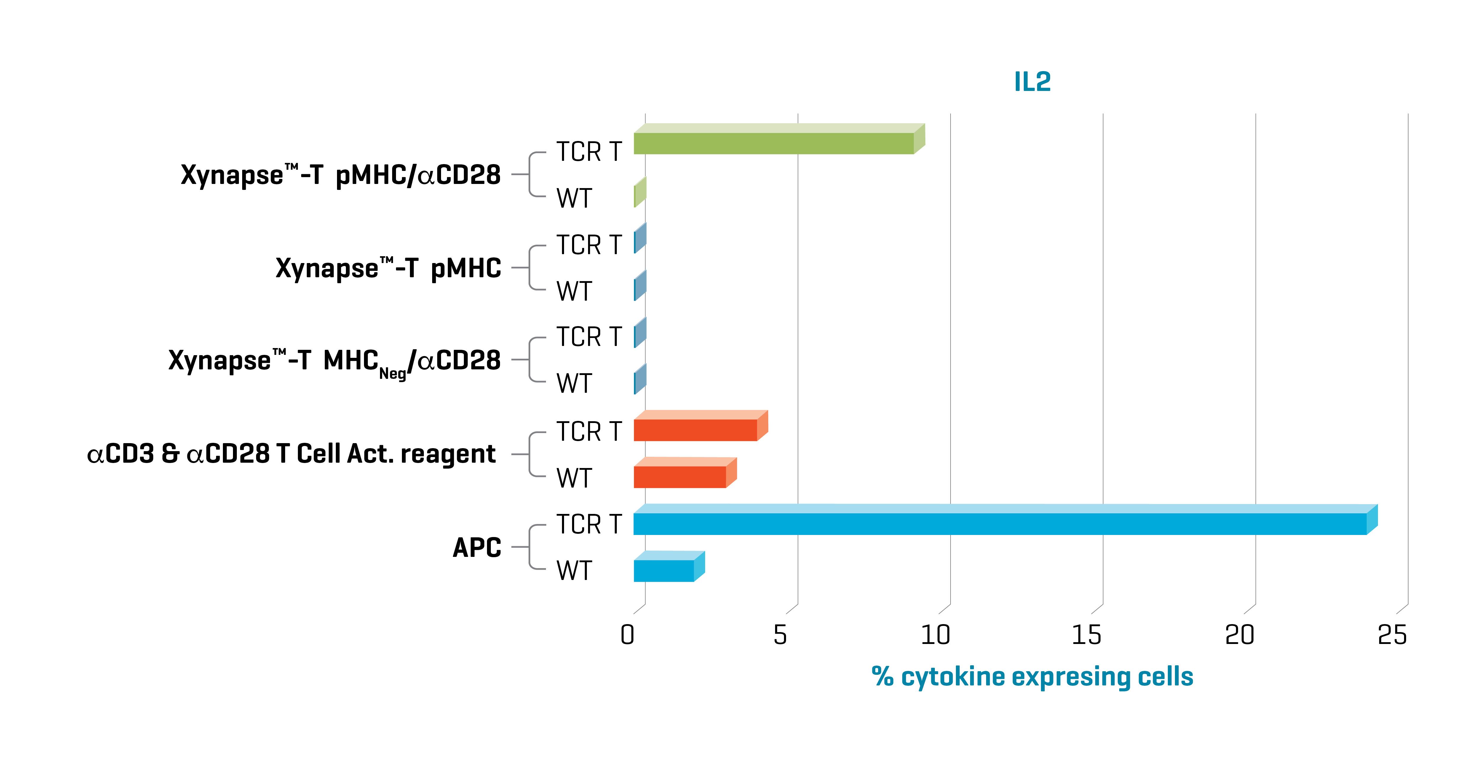 Potency Testing of TCR-T Cell Therapies | Immudex