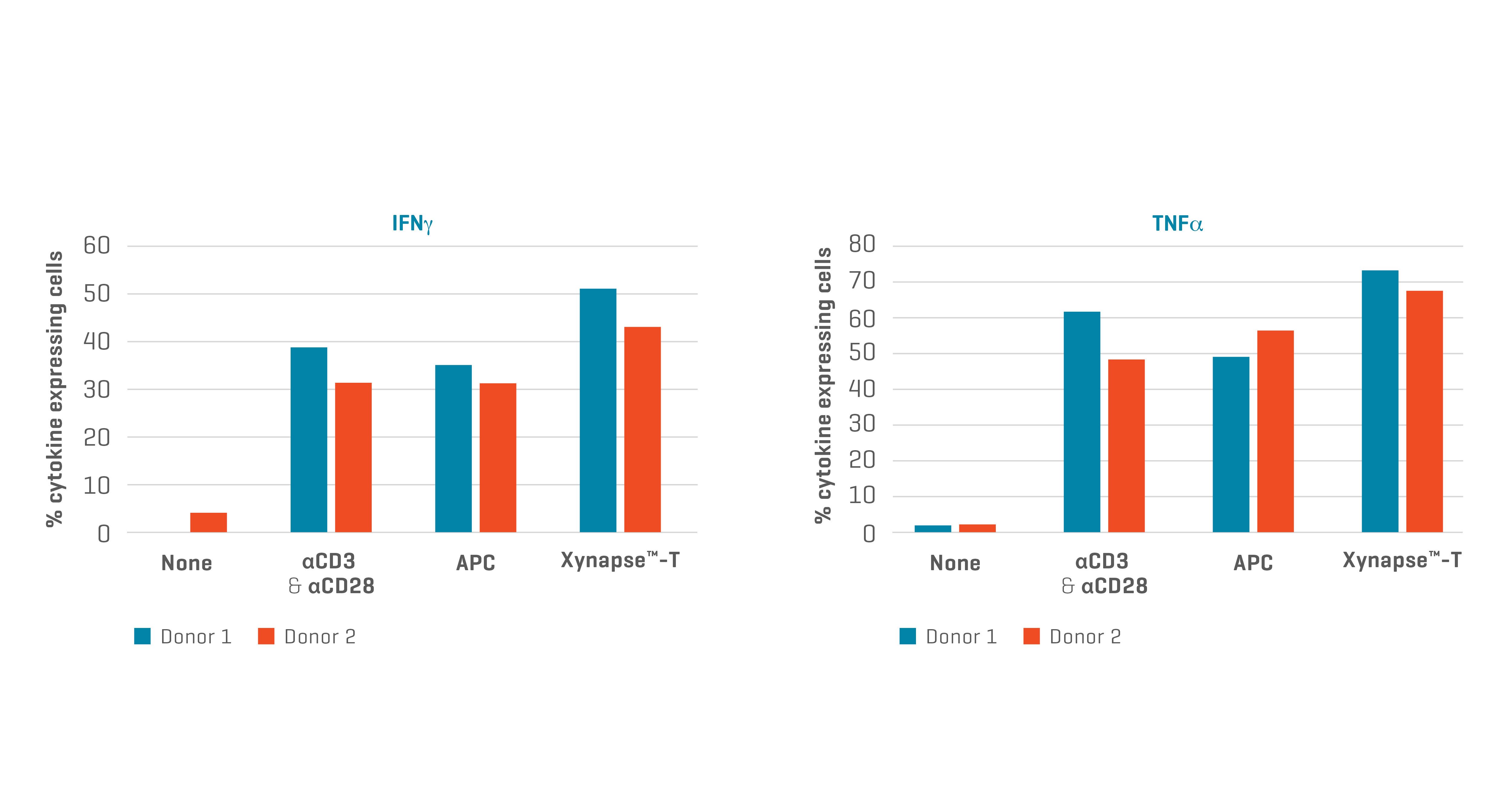 Potency Testing of TCR-T Cell Therapies | Immudex