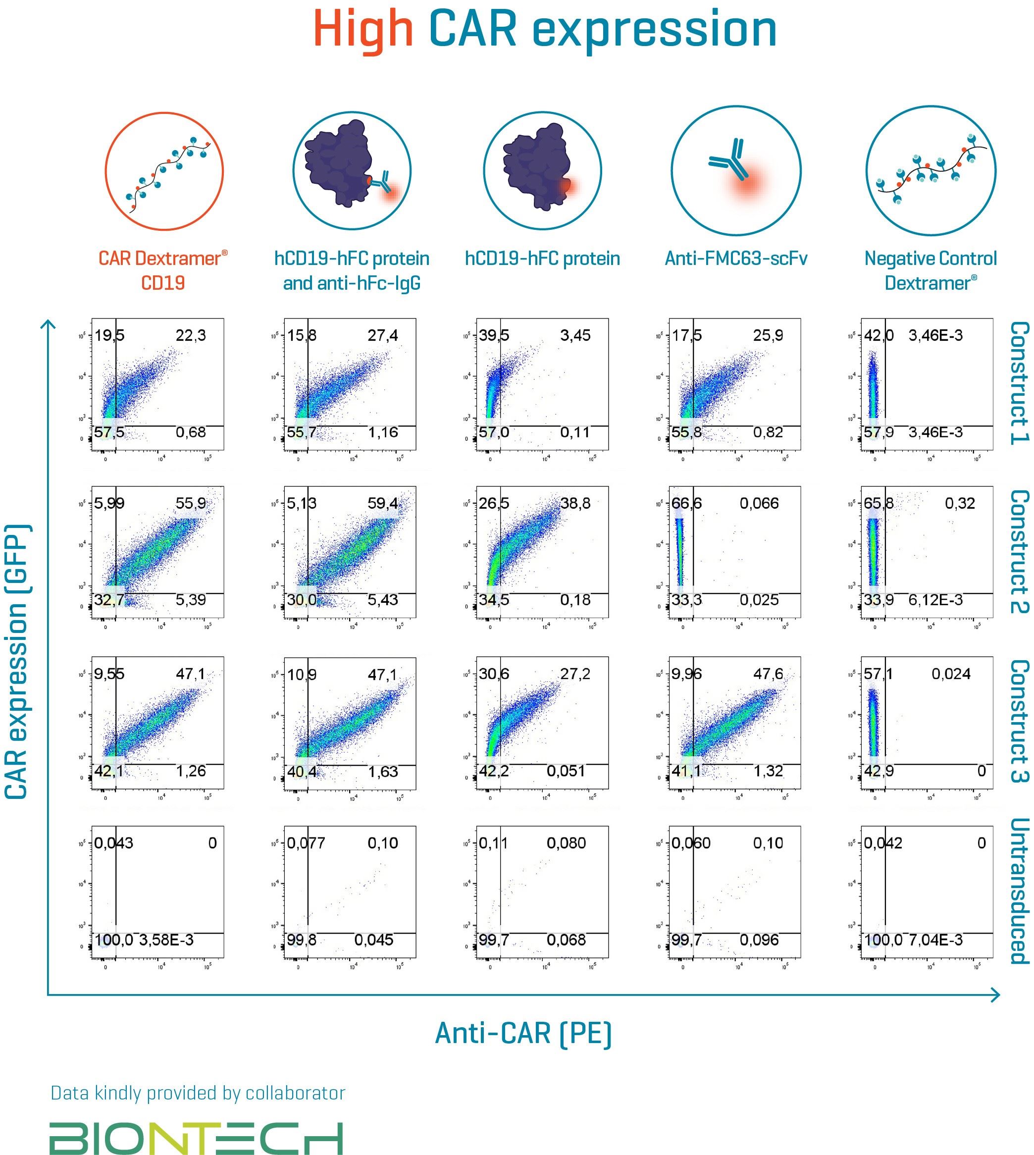 The Proof is in the Staining: A Comparison of CAR Detection Reagents ...