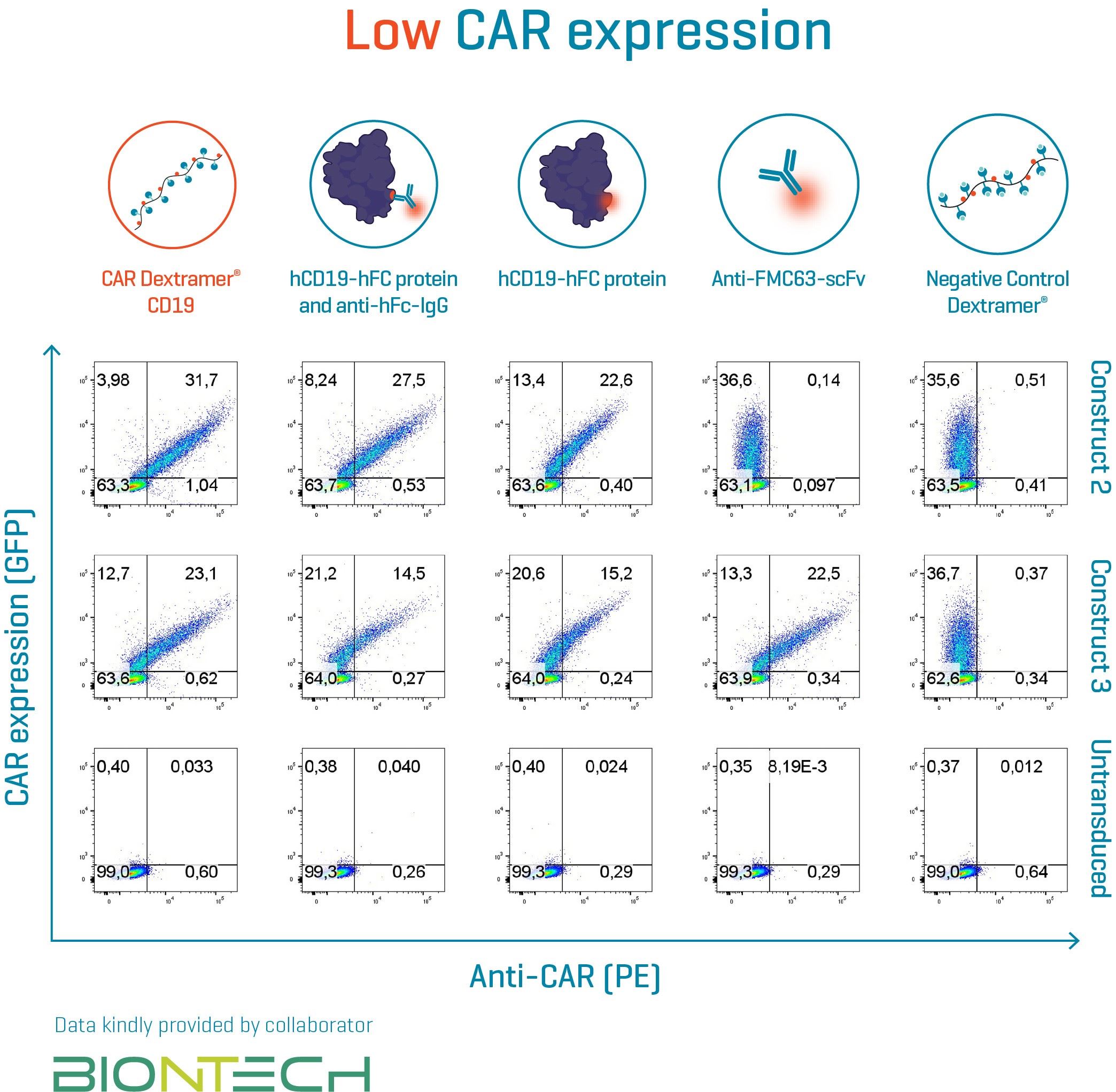 The Proof is in the Staining: A Comparison of CAR Detection Reagents ...
